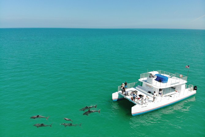 THE TOP 10 Key West Dolphin & Whale Watching (w/Prices)